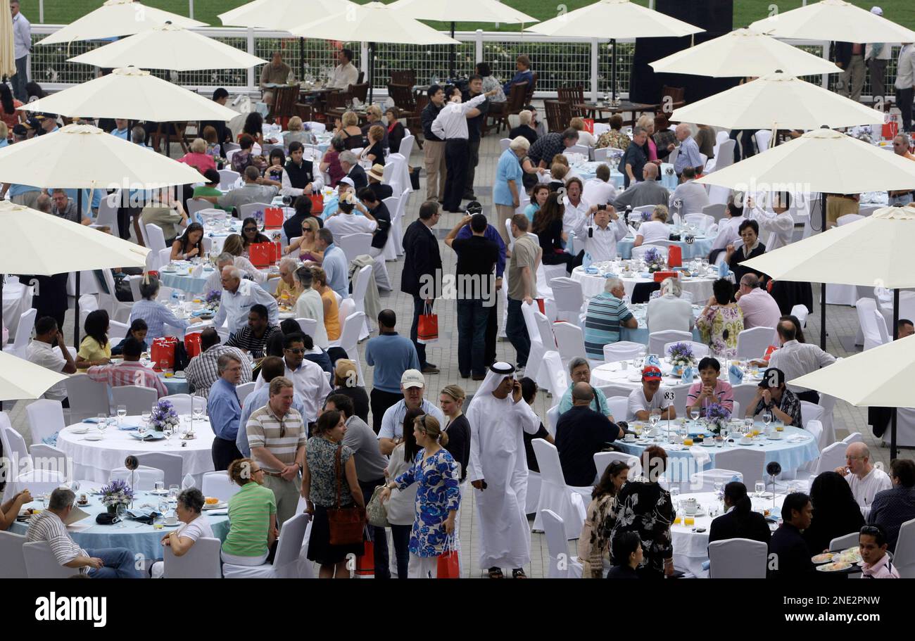 Two days ahead of Dubai World Cup, the world's richest horse race an ...