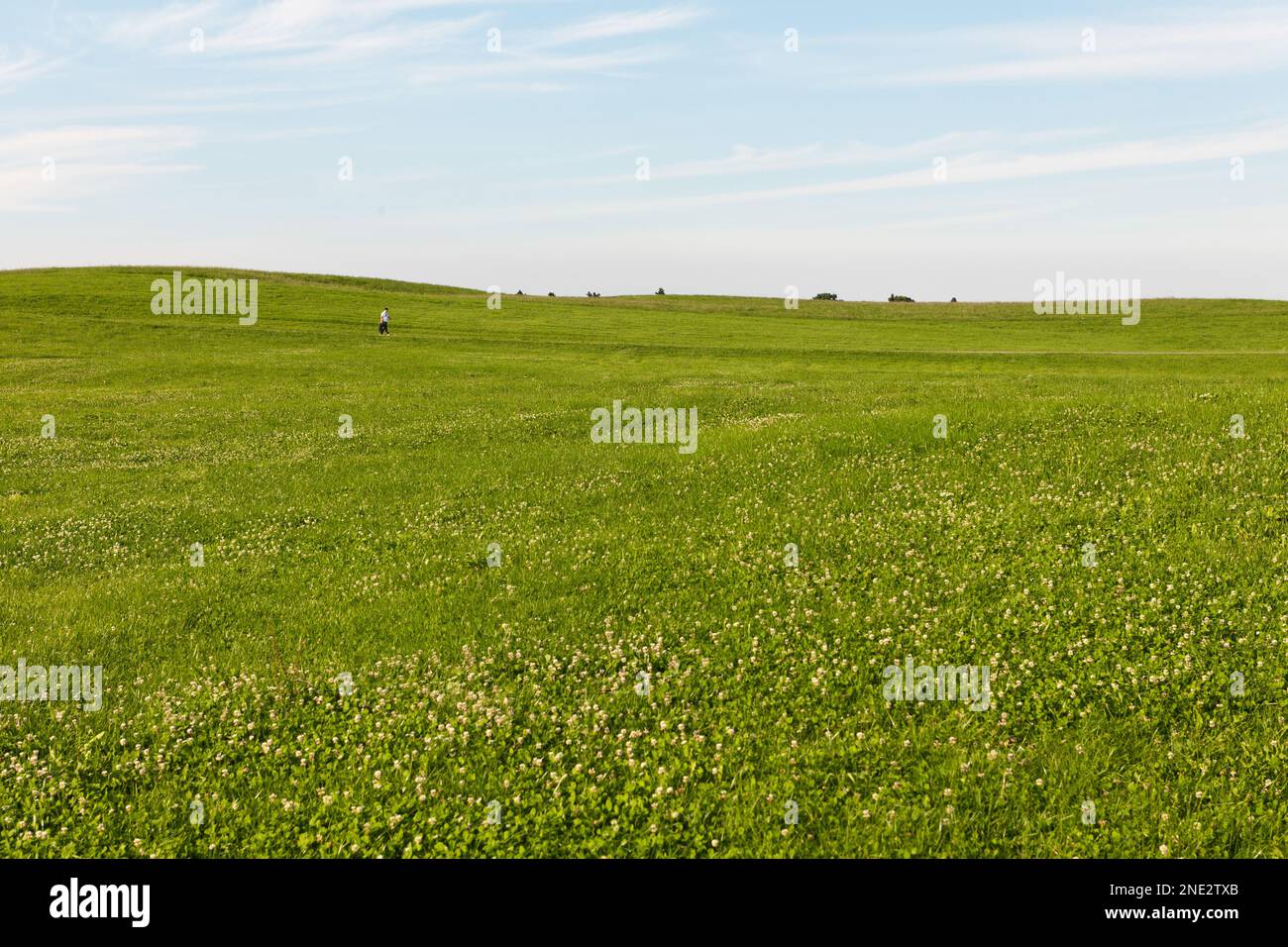 A large fresh green empty meadow stretches to the horizon and a blue ...