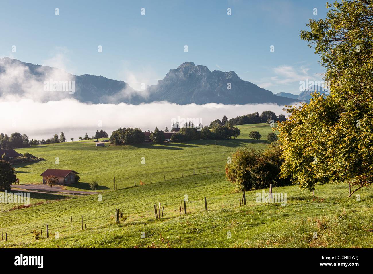 View from above of the foothills of the Alps with the Forggensee lake ...