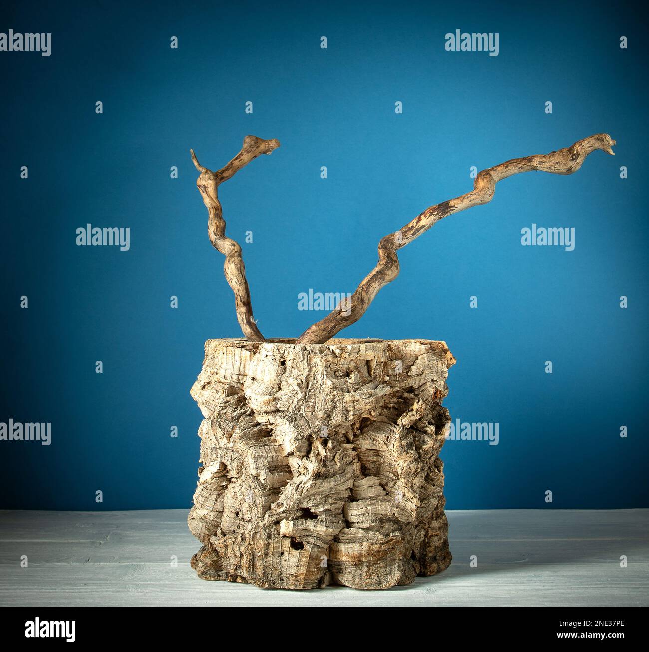 Knotted branches hi-res stock photography and images - Alamy