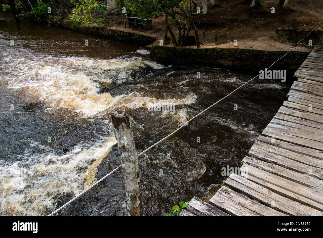 River flowing in the forest. City of Valenca, Brazil Stock Photo - Alamy
