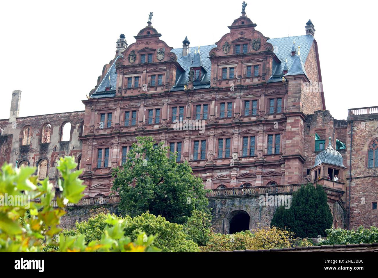 The exterior view of the palace of Heidelberg, Germany with trees under light sky Stock Photo ...