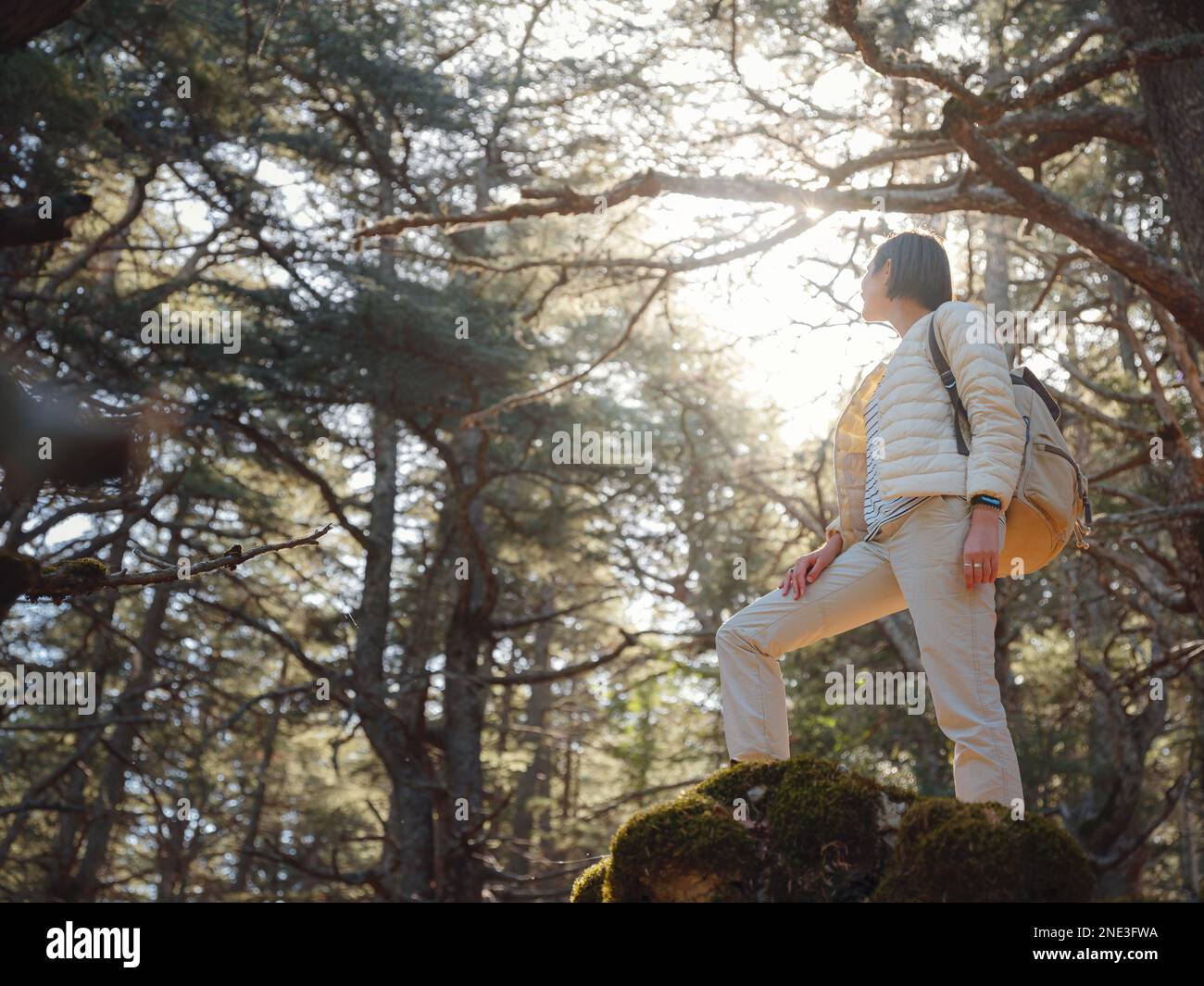 asian woman enjoys being in nature, beautiful forest in mountains ...