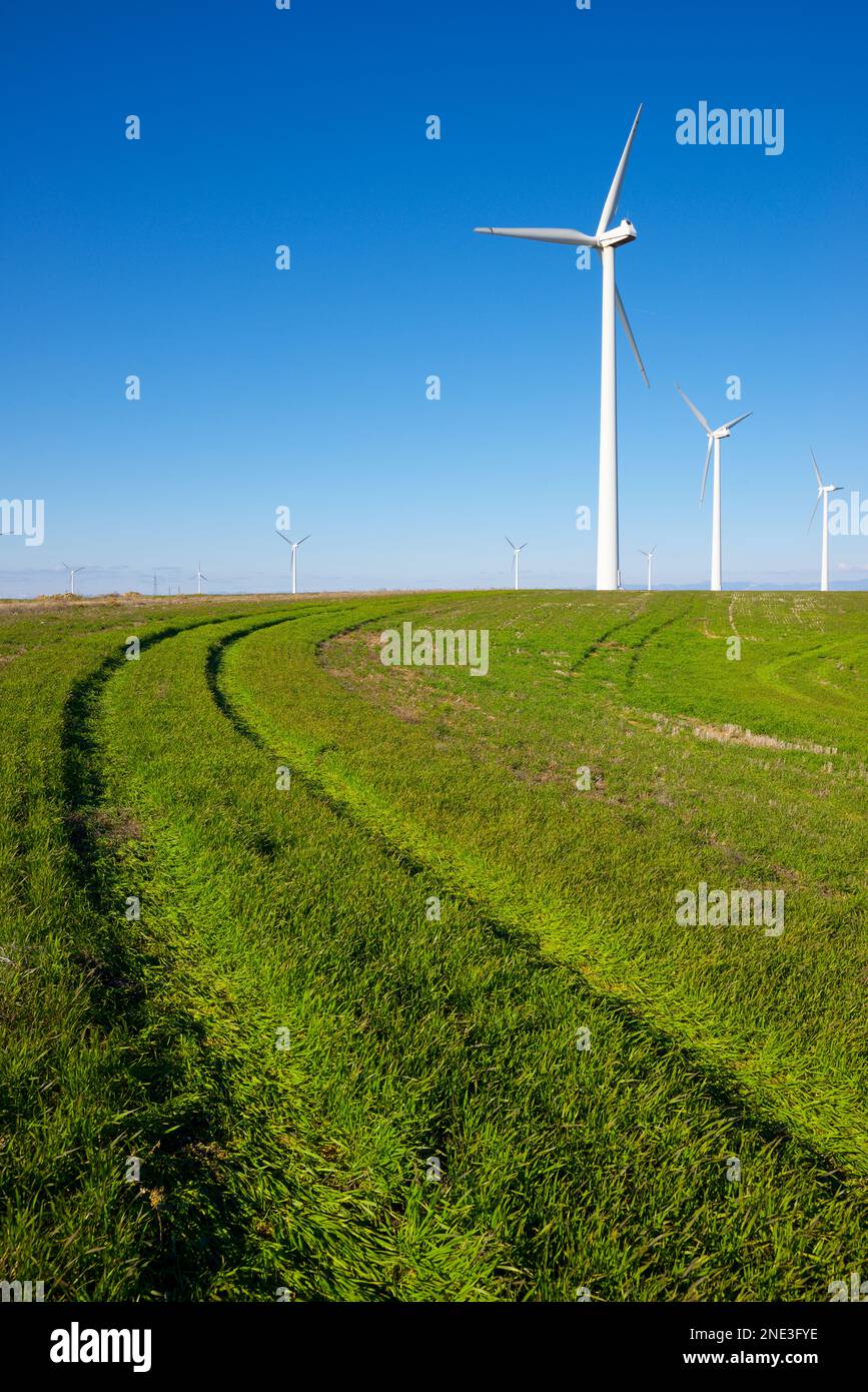 Wind turbines generators for sustainable electrical energy production ...