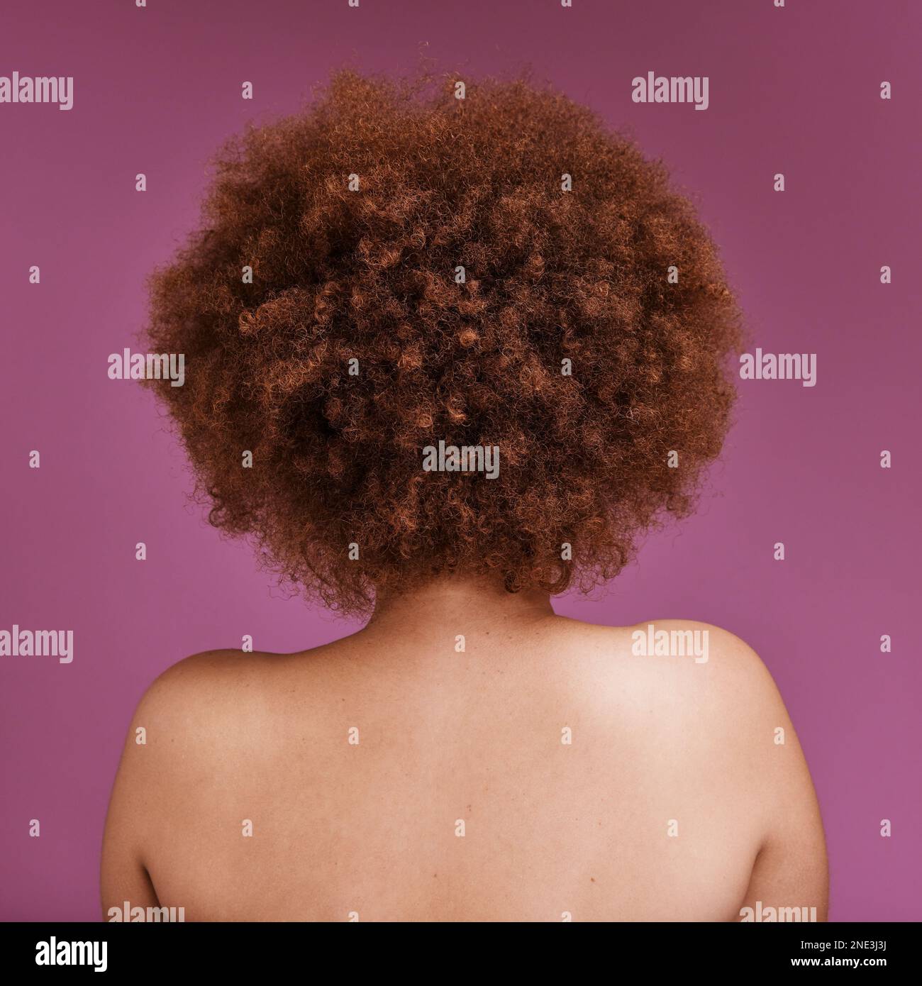 Rear view, black woman and afro of hair in studio for ethnicity texture ...
