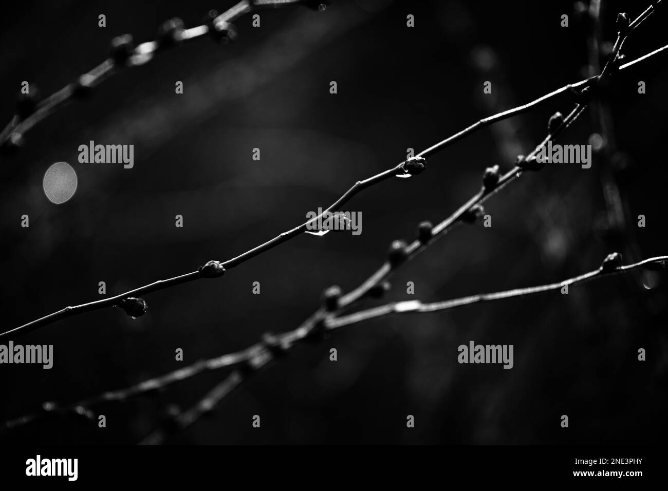 Grayscale pattern Black and White Stock Photos & Images - Alamy