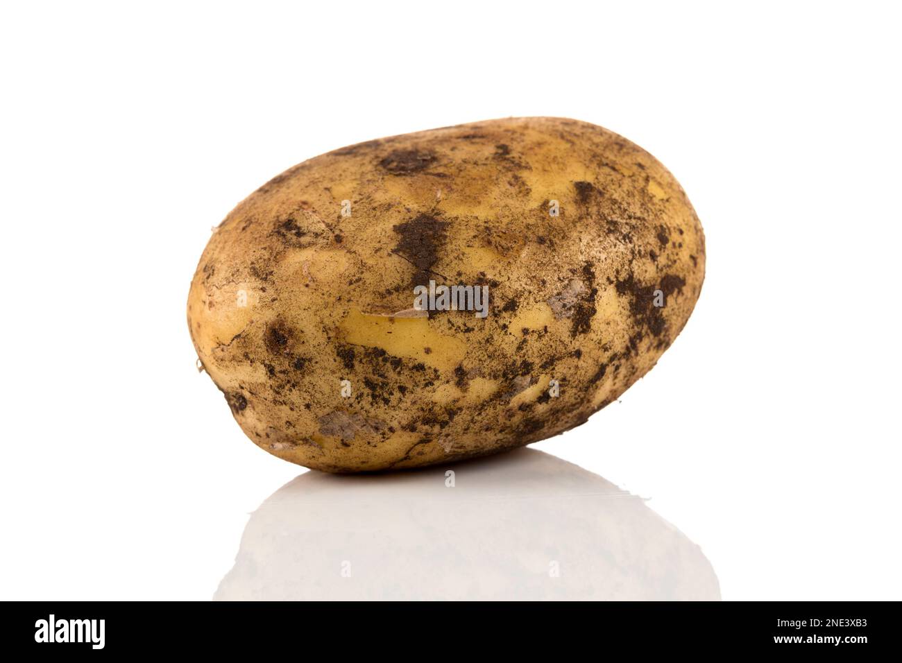 Fresh dirty potato isolated on a white background Stock Photo - Alamy