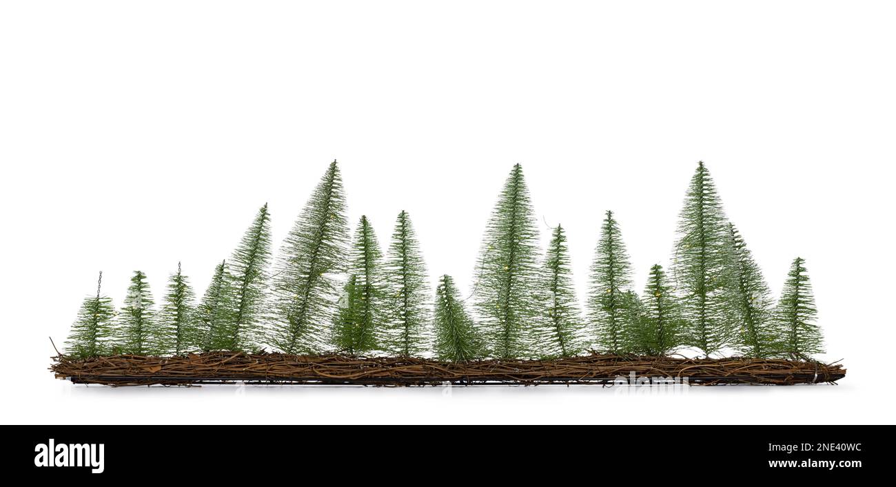 Row pine trees line on Cut Out Stock Images & Pictures - Alamy