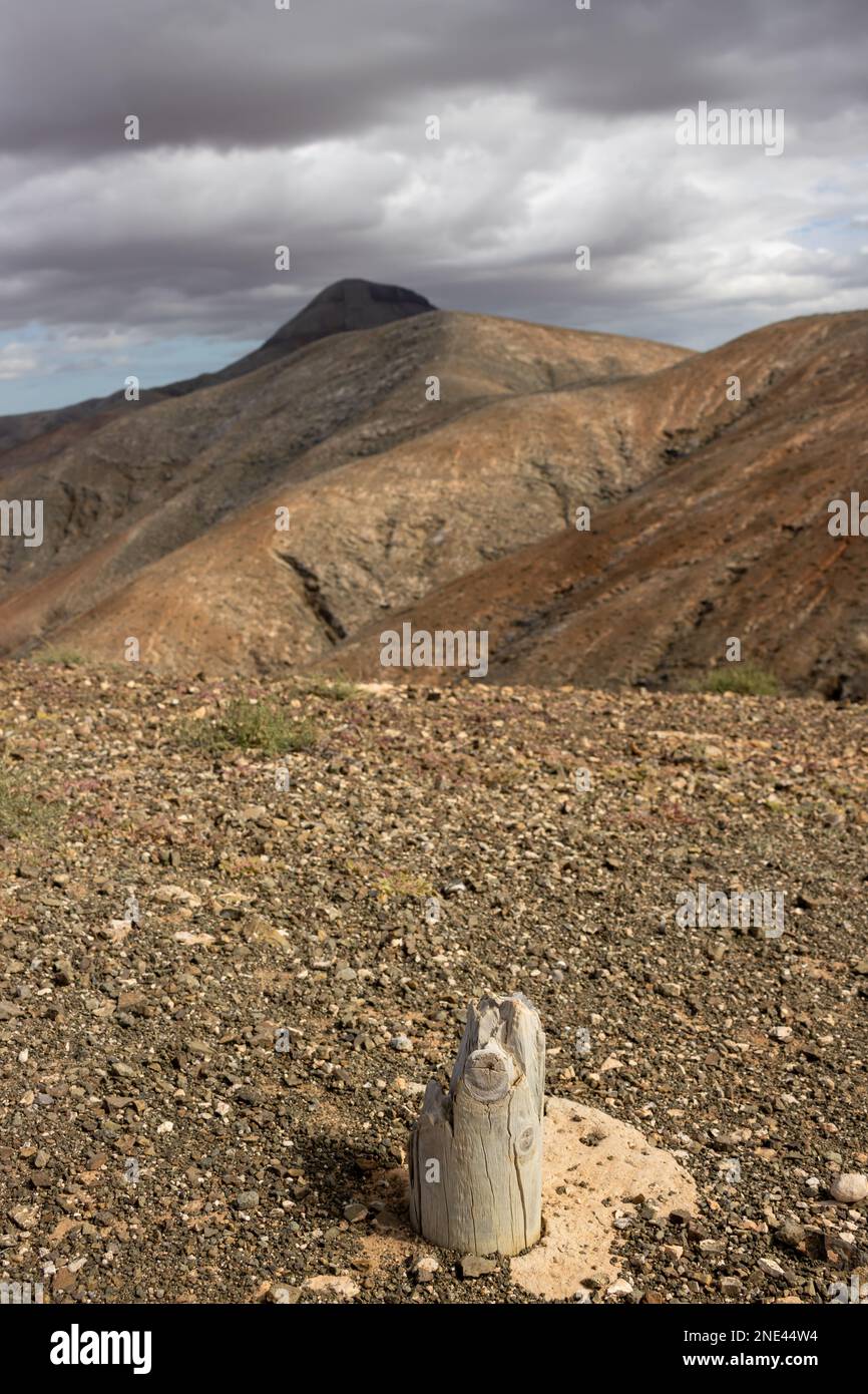 Shapes and lines of the mountains of the volcanic origin. Light brown ...