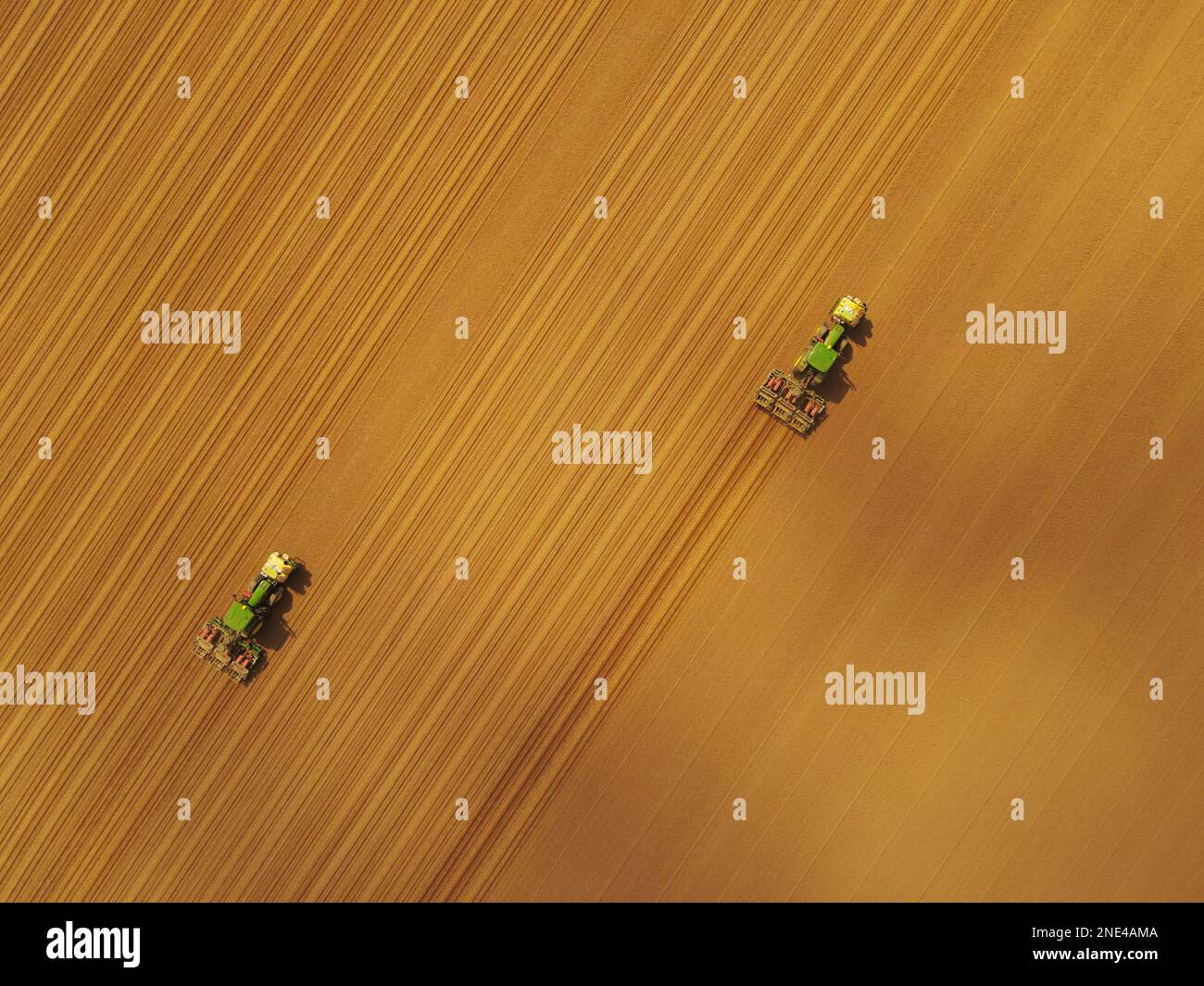 Two Workers Sow a Large Field Stock Photo - Alamy