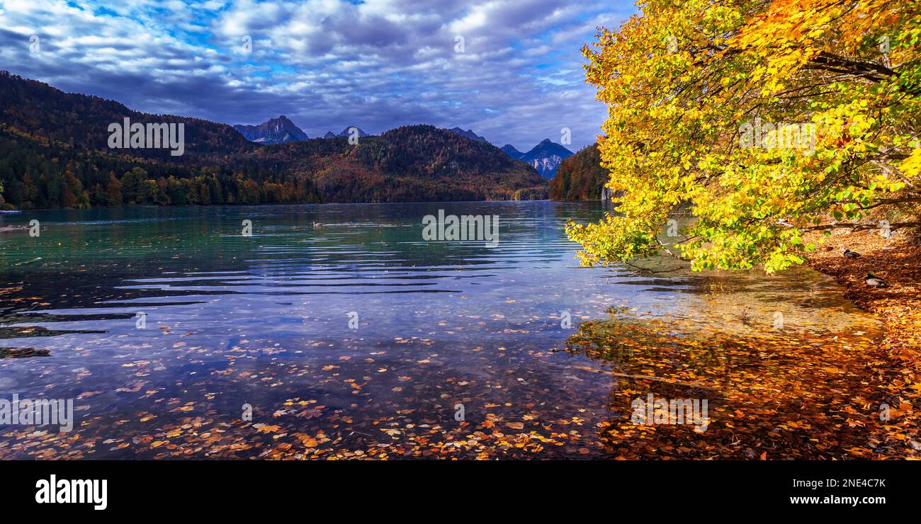 Alpsee Lake, Mountains and Forest, Bavarian Alps, Hohenschwangau ...