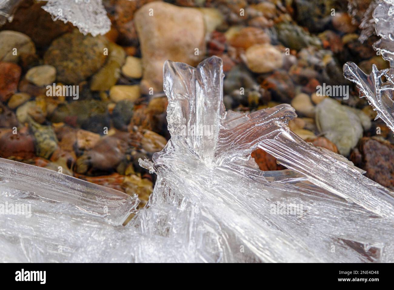 texture ice cracks, white ice crystals, winter frost background. Among ...