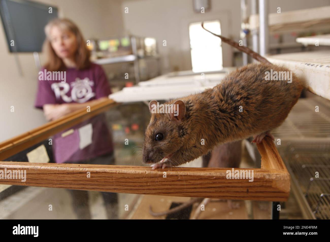 In this photo taken on Wednesday, March 10, 2010, Karen Robbins ...