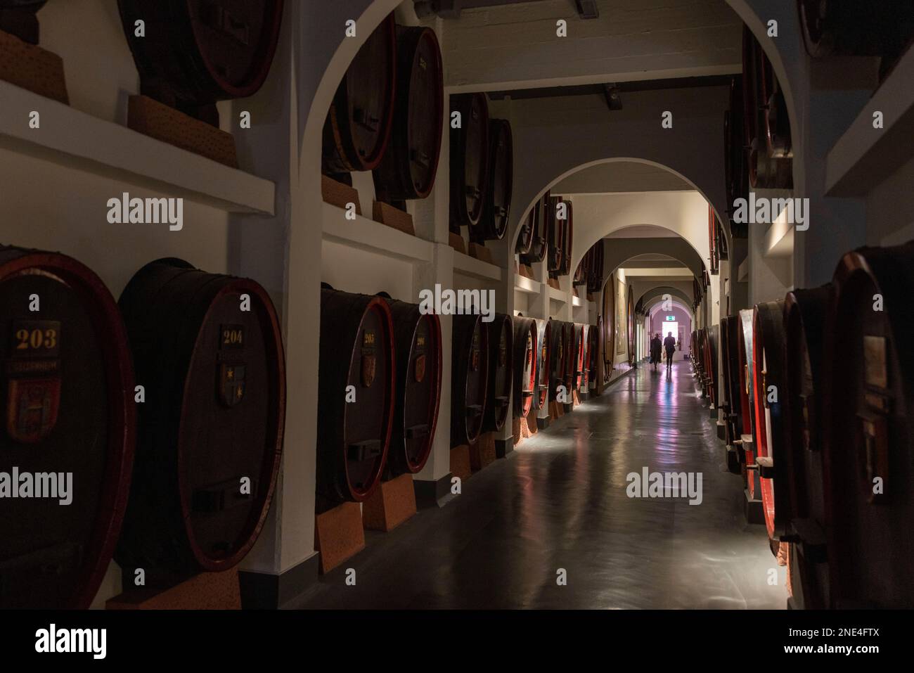 Wiesbaden, Germany. 15th Feb, 2023. The cellar rooms above the Henkell ...