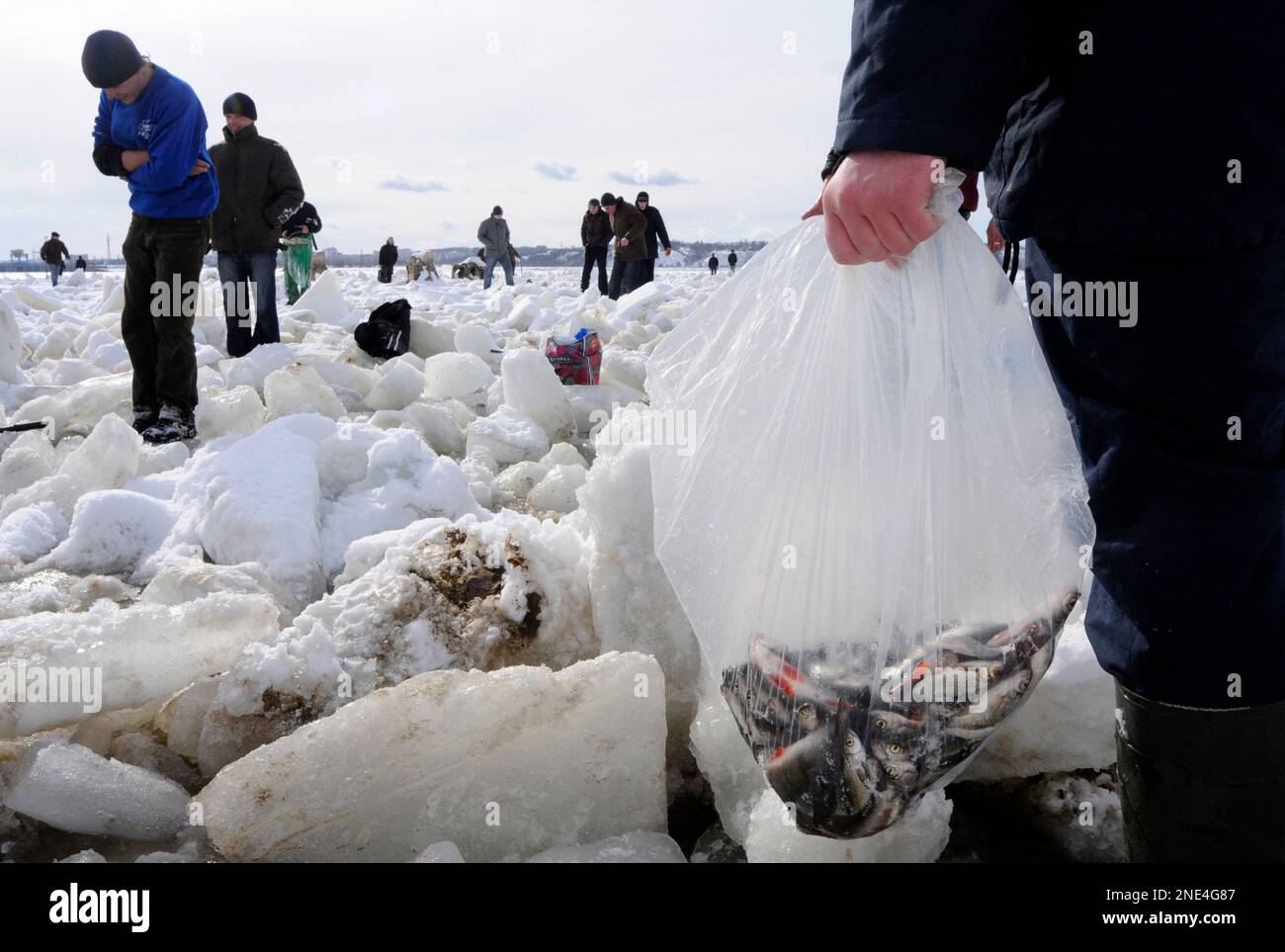 People gather fish in a water reservoir on the Dnieper river near Kiev ...