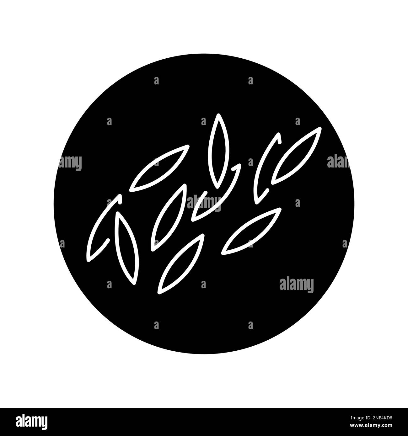 Risoni pasta Stock Vector Images - Alamy