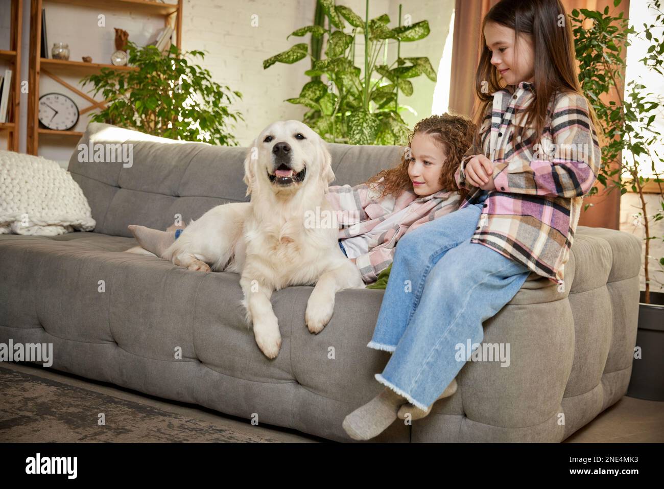 Two little cute happy girls, sisters sitting at home and playing with ...