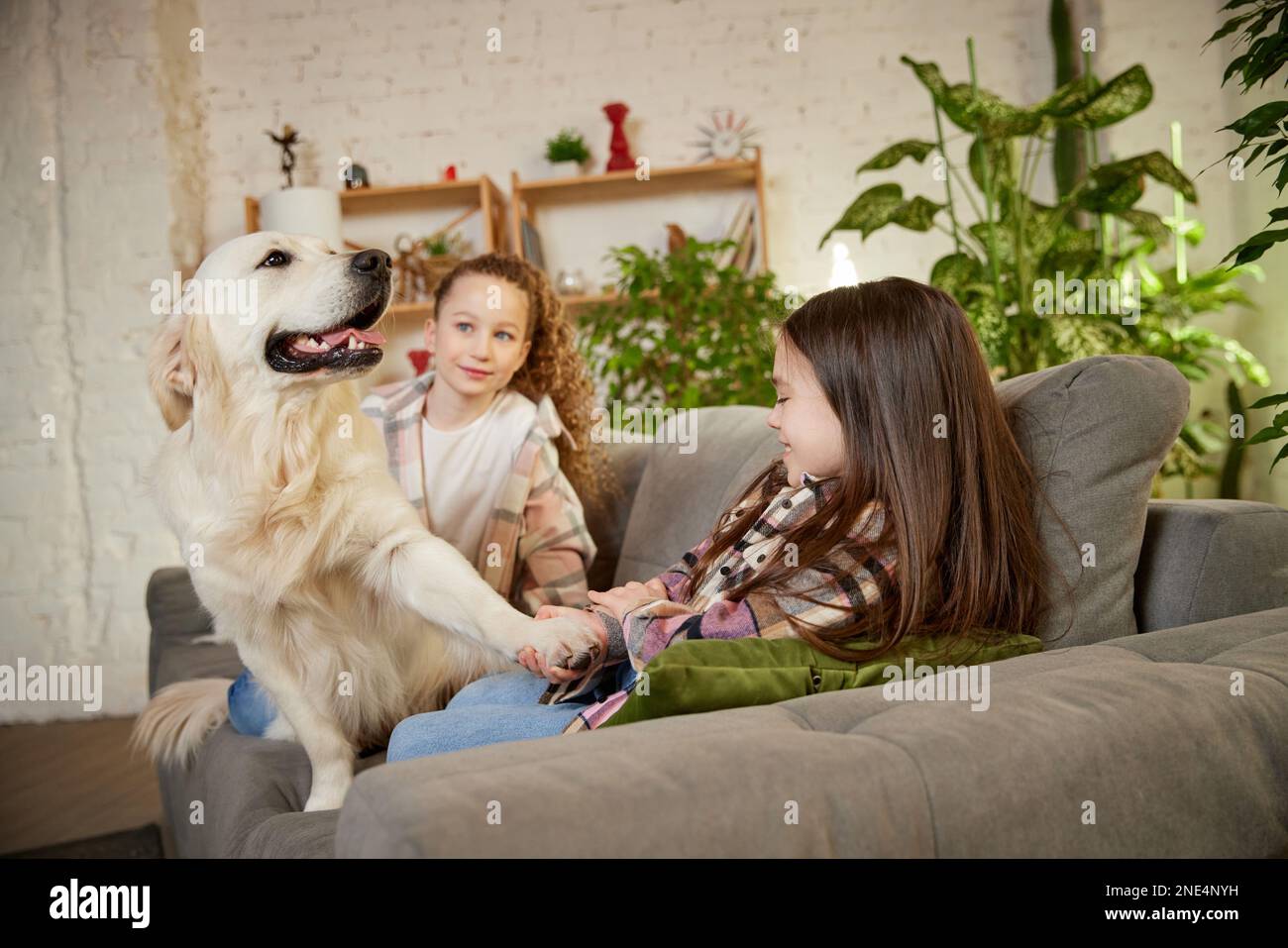 Two little cute happy girls, sisters sitting at home and playing with ...