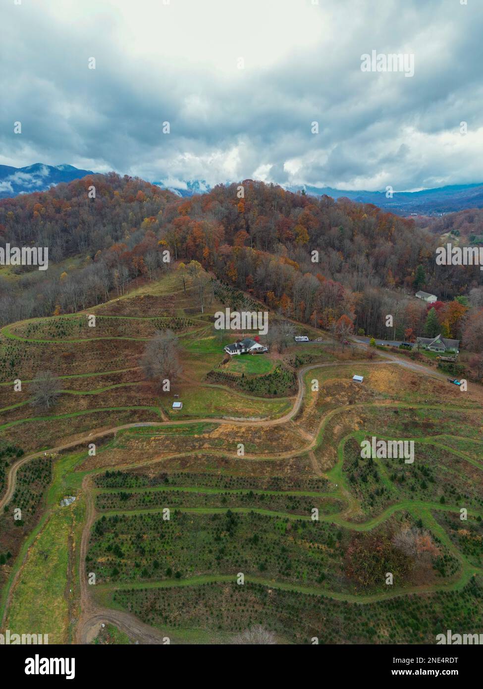 An aerial shot of a farm and colorful leaves of trees on a forest in ...