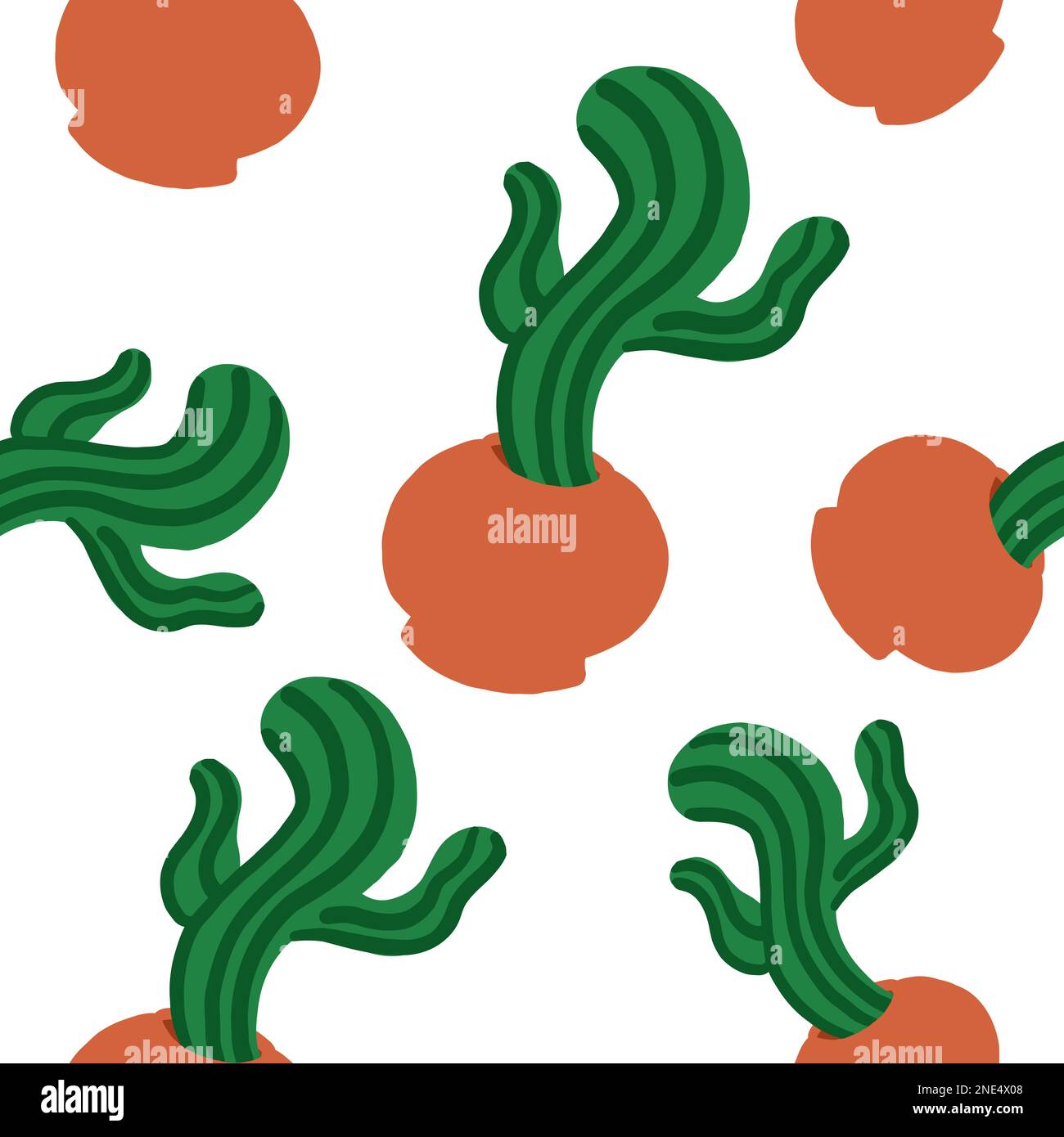 Cacti pattern. Vector illustration in cartoon flat style isolated on ...
