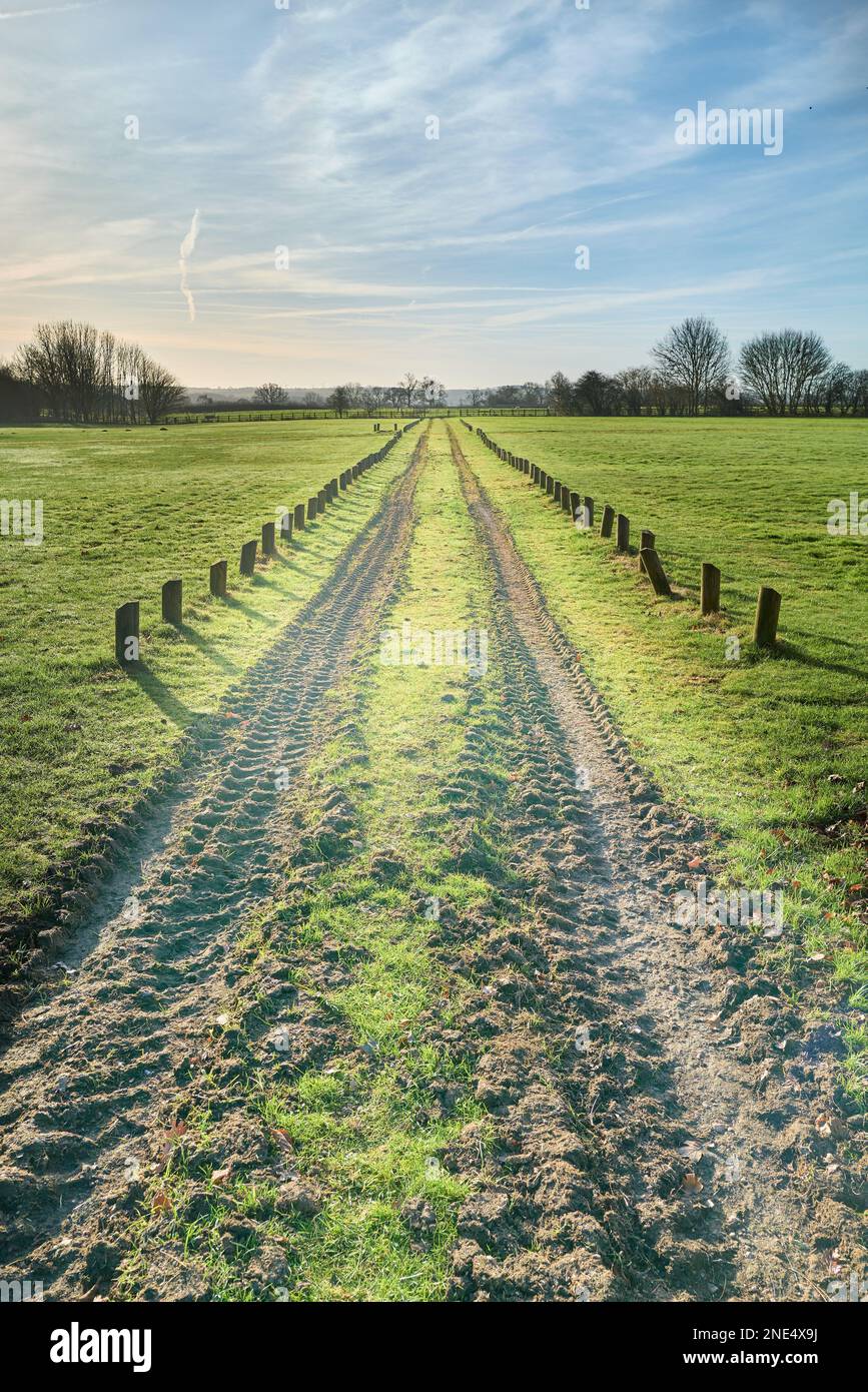 Tractor tyre marks on a field Stock Photo - Alamy