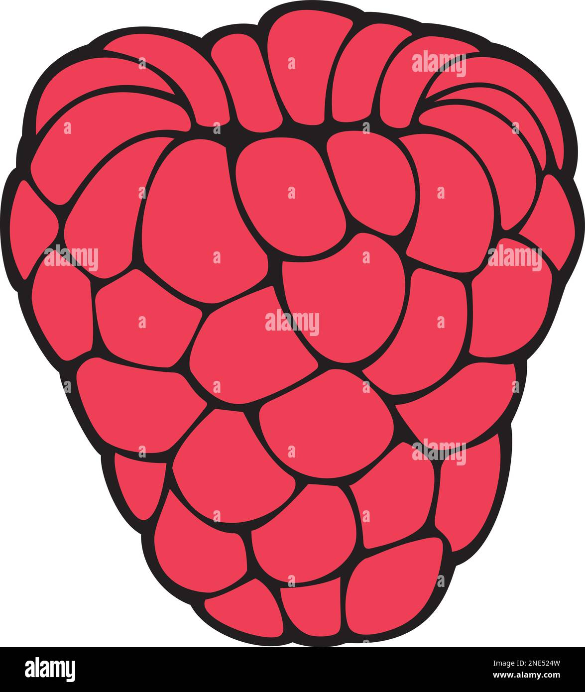 Raspberry Fruit Color Vector Illustration Stock Vector Image And Art Alamy