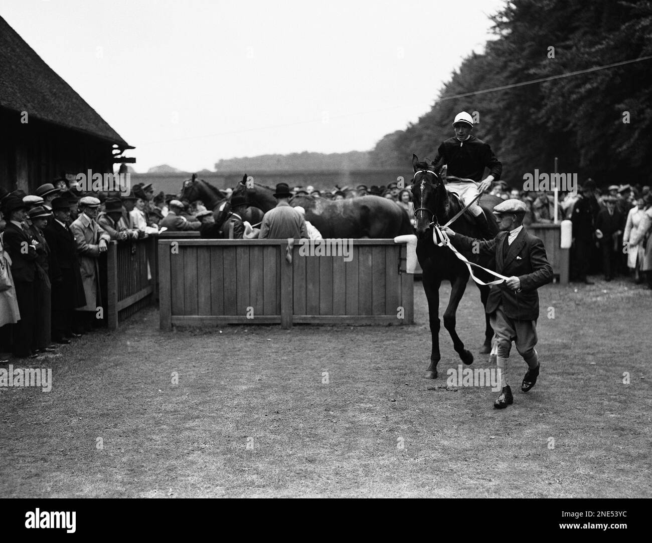 Leading in Watling Street, the winner of the Derby at Newmarket on June ...