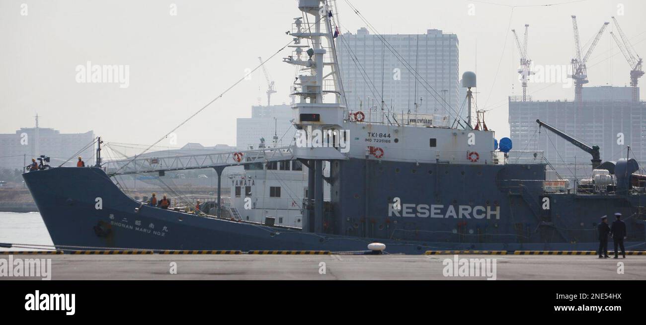 Japan's whaling ship the Shonan Maru 2 arrives back from the Antarctica ...