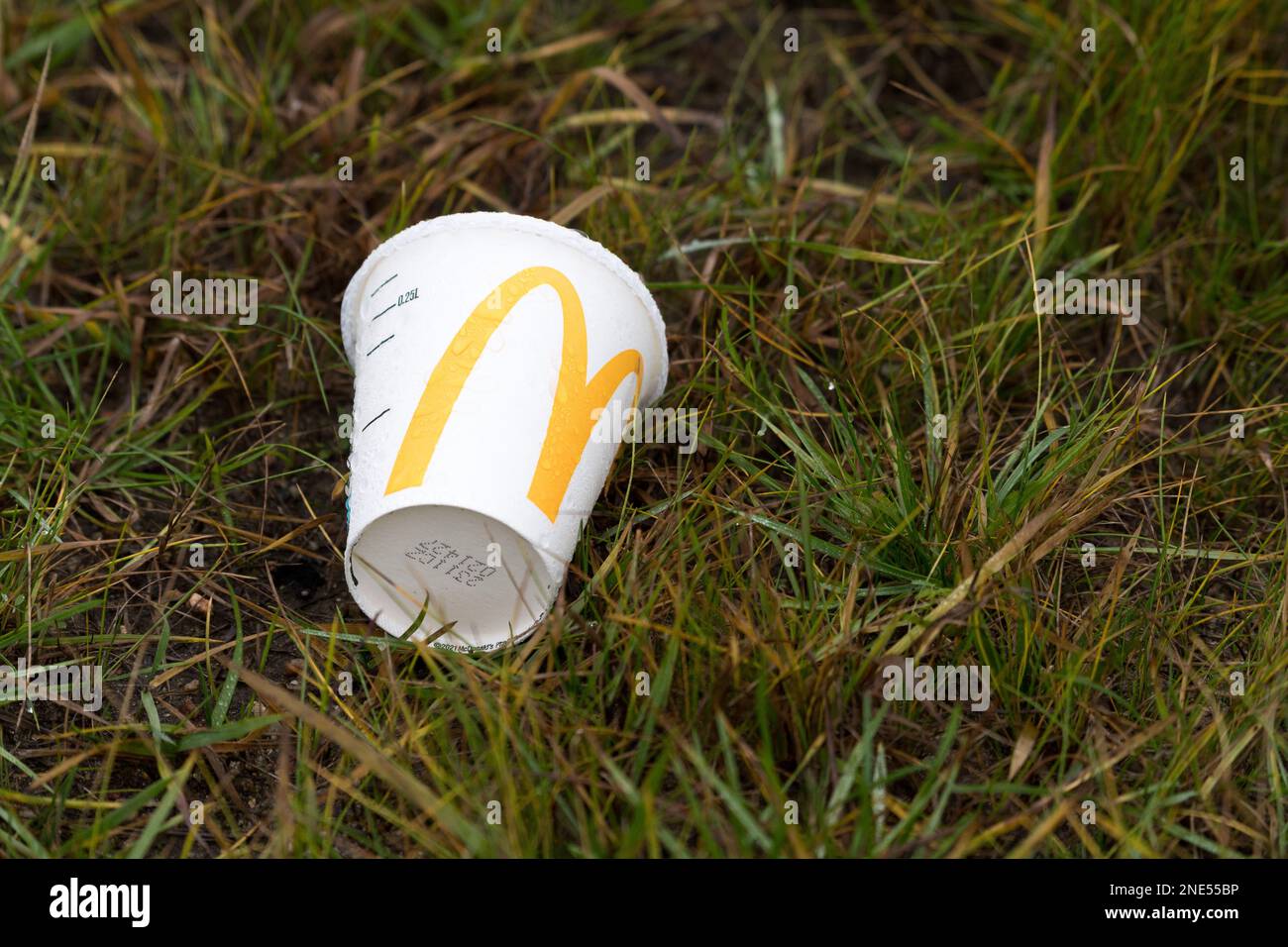 McDonald's cup waste in Poland © Wojciech Strozyk / Alamy Stock Photo ...