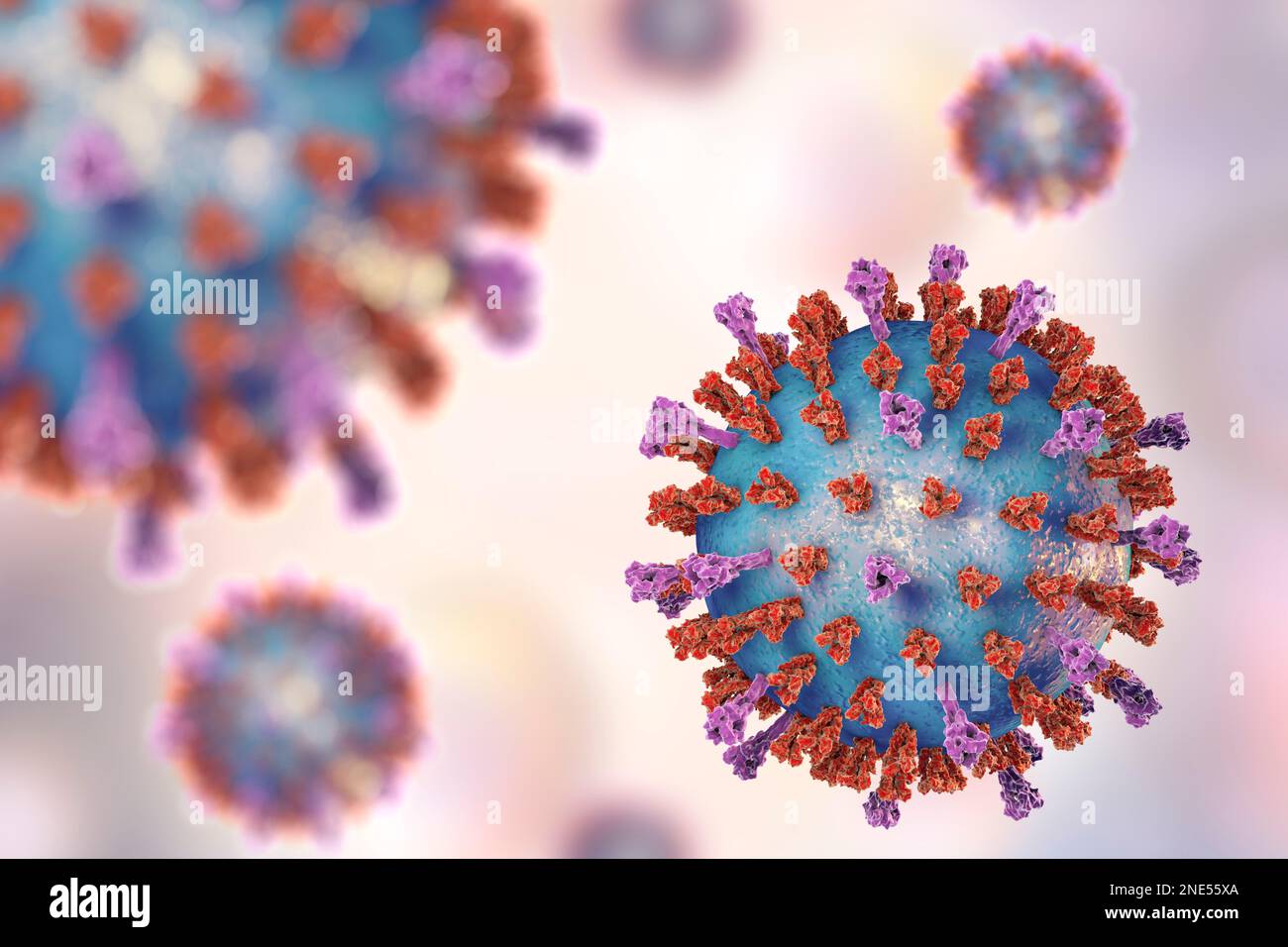 Paramyxovirus hi-res stock photography and images - Alamy