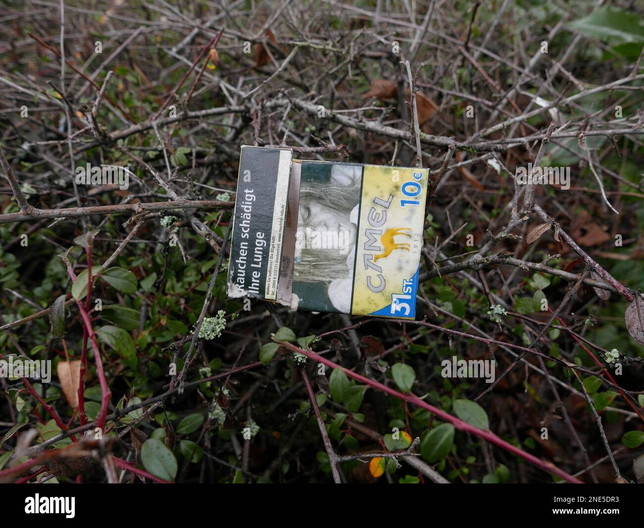 Discarded cigarette packaging in hedge. Germany. 2023 Stock Photo - Alamy