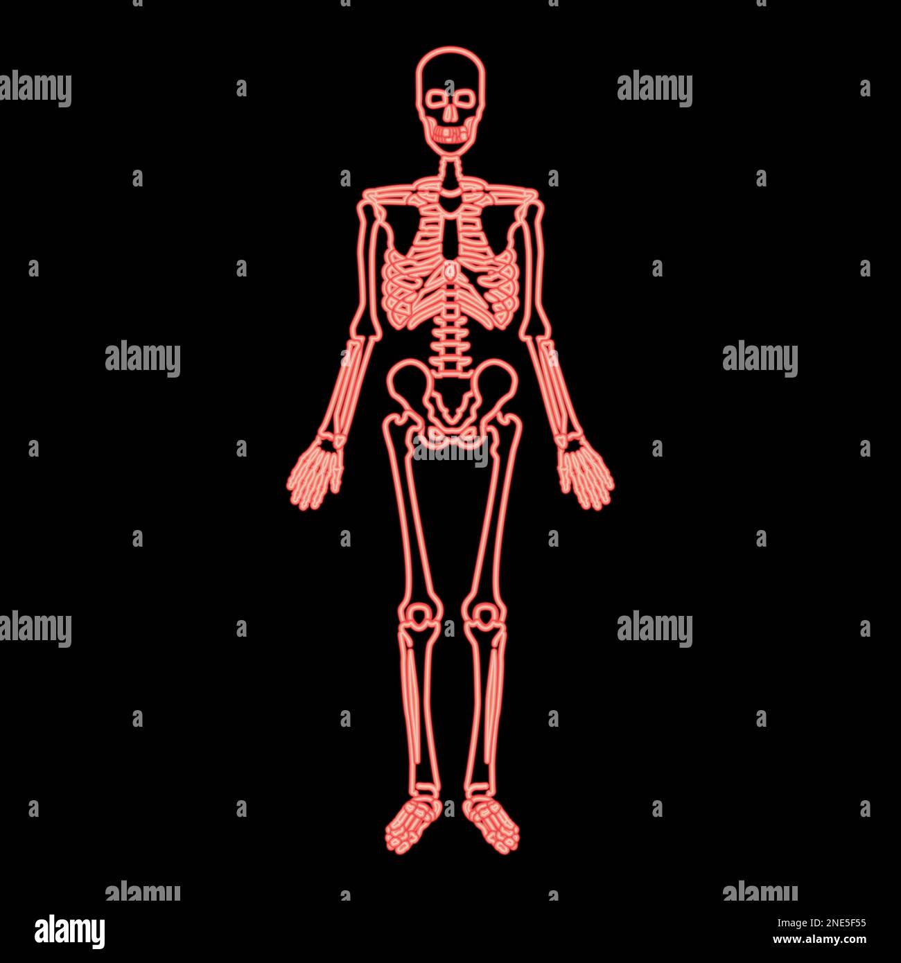 Neon skeleton human red color vector illustration image flat style ...