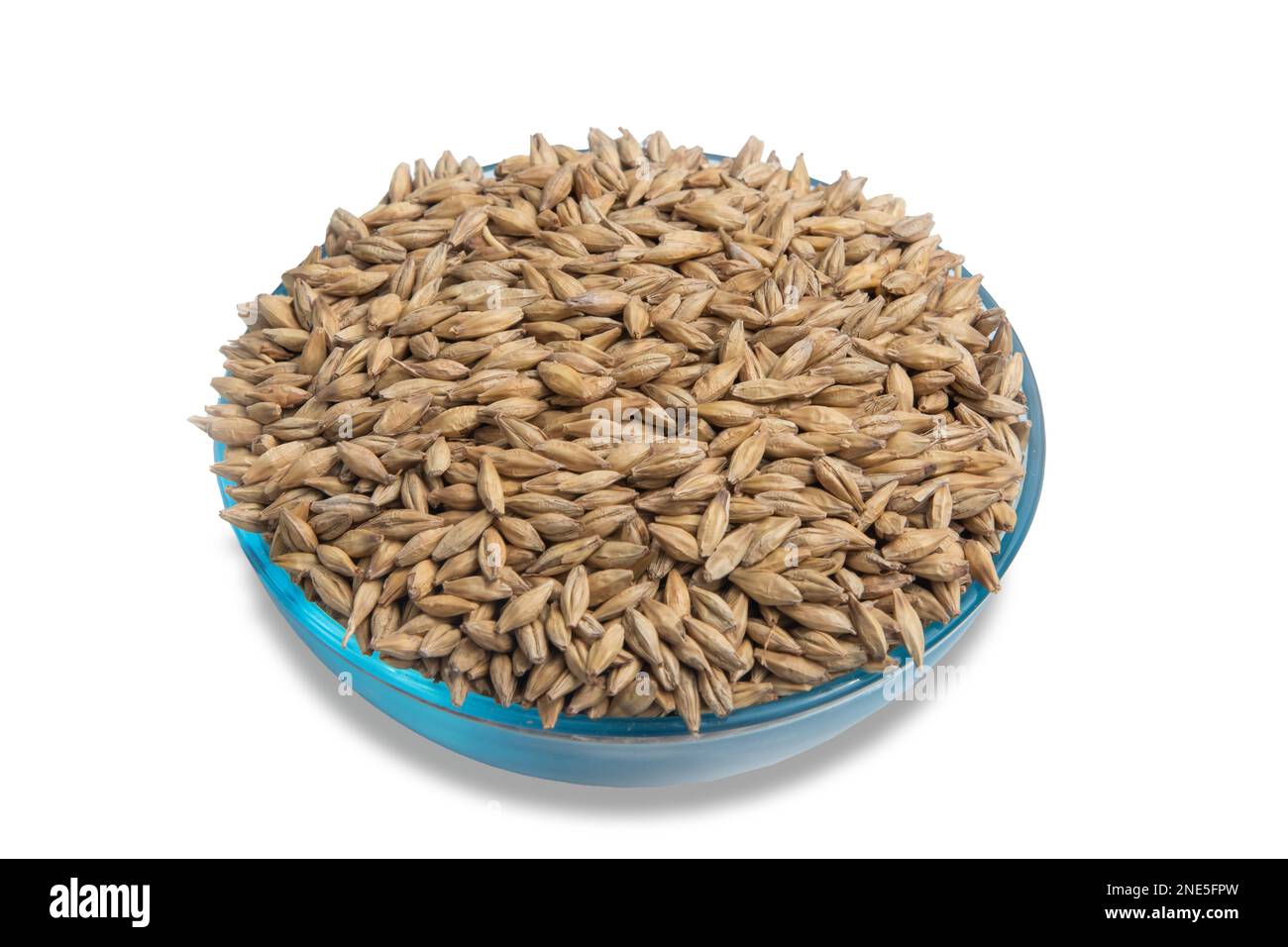 pilsen malt grain in clear bowl in white background Stock Photo - Alamy