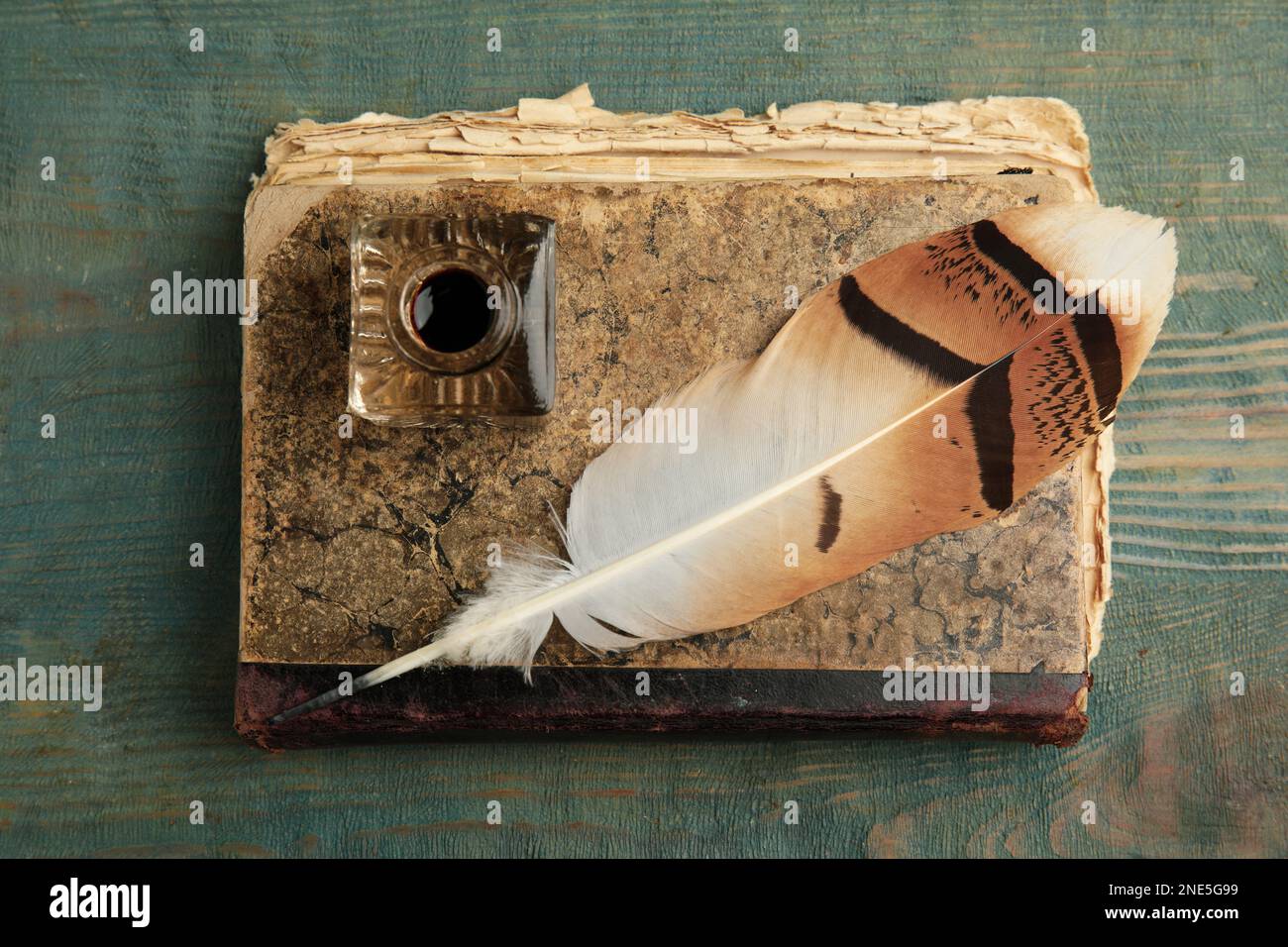 Top view feather quill hi-res stock photography and images - Alamy