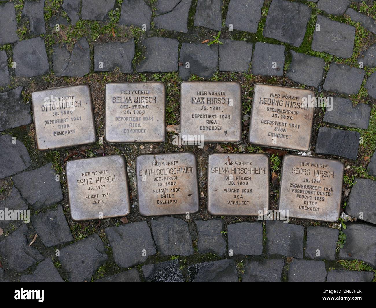 Stolpersteine Holocaust memorial stones embedded in pavement. Germany ...