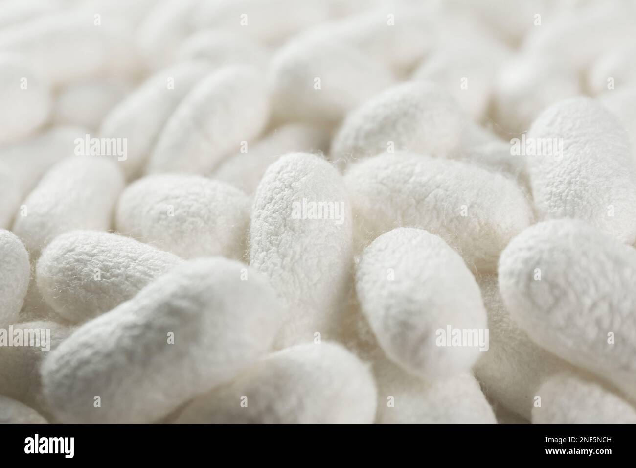 Pile of natural silkworm cocoons as background, closeup Stock Photo - Alamy