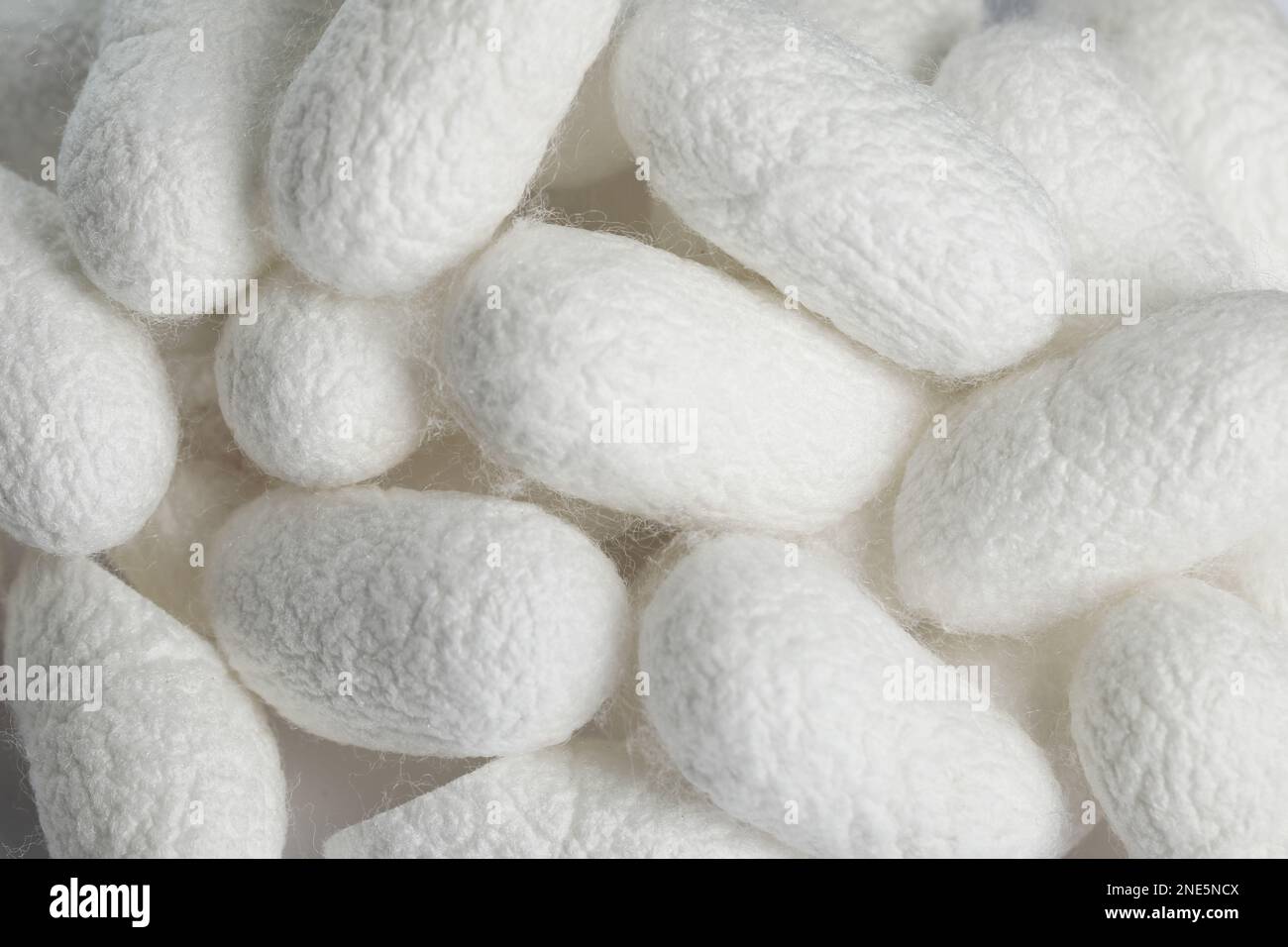 Pile of natural silkworm cocoons as background, closeup Stock Photo - Alamy