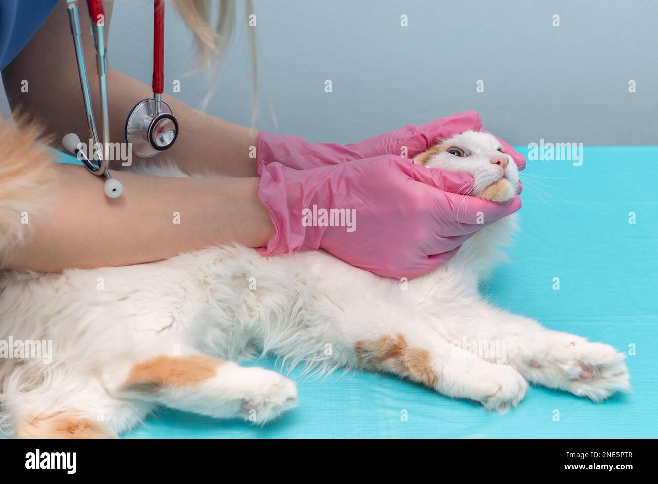 Doctor examines eye hi-res stock photography and images - Alamy