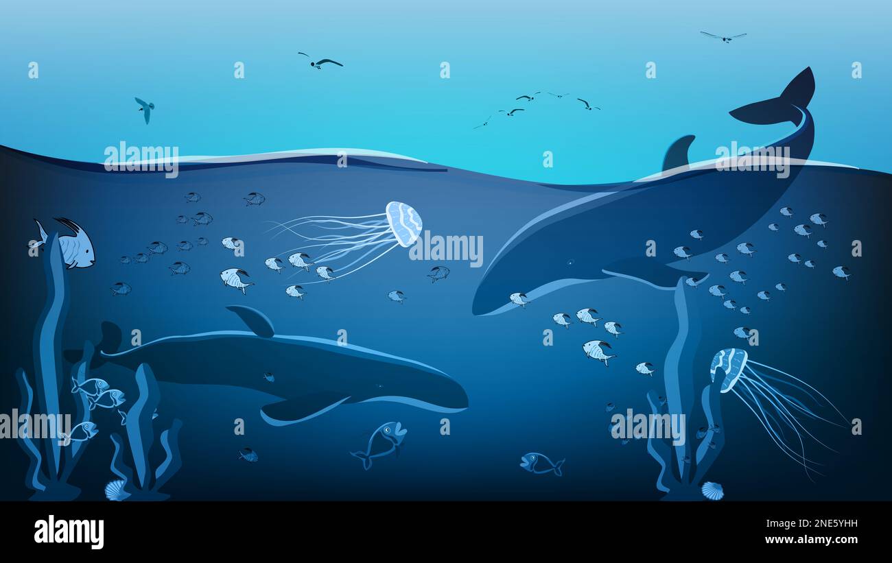 Sea cut for education with marine life and sky with seagulls. Fish swim ...