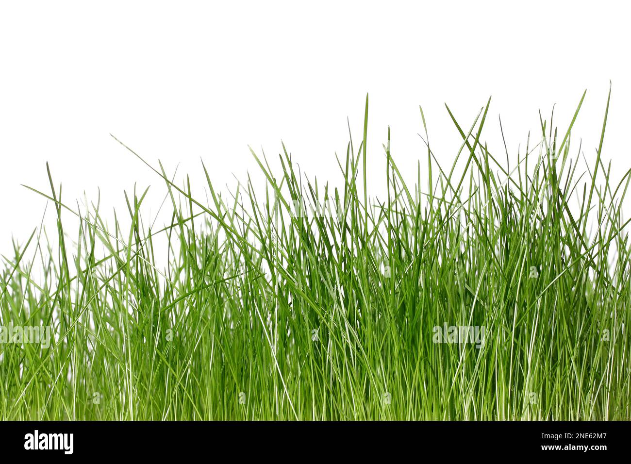 Turf lawns hi-res stock photography and images - Alamy