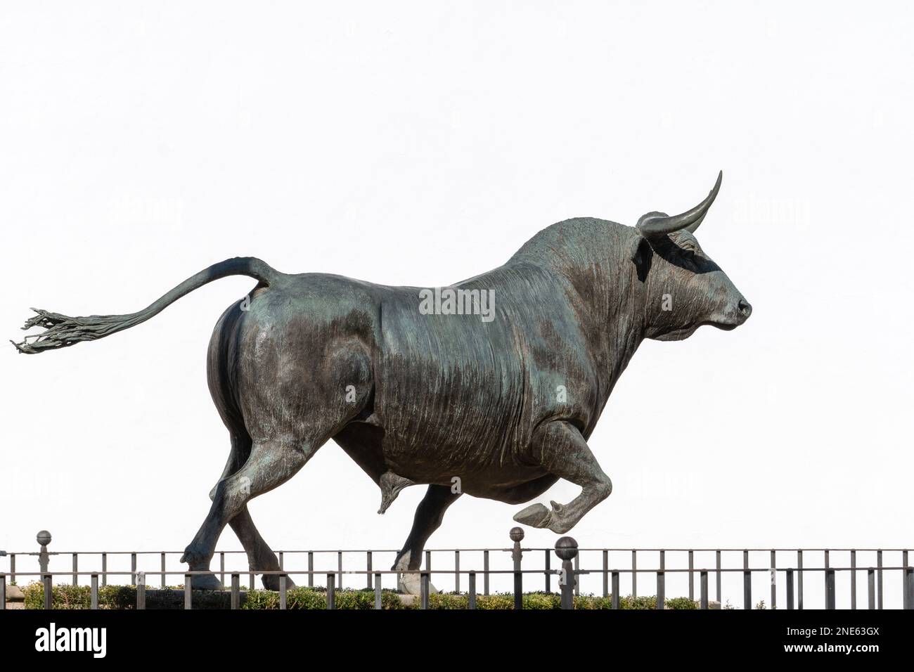 02-09-2023 ronda,malaga, spain bronze statue of a fighting bull in the ...