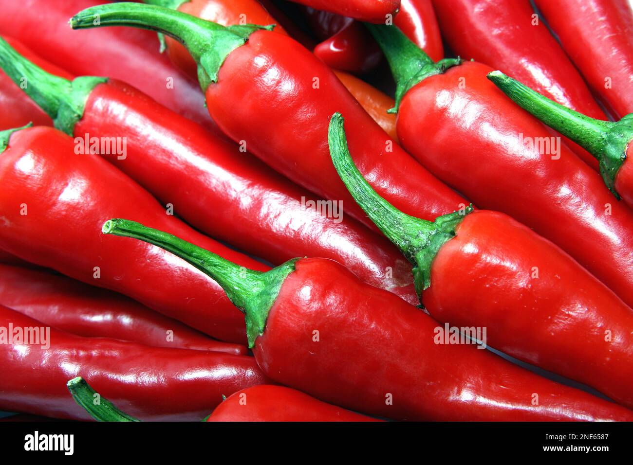 Peperoni plant hi-res stock photography and images - Alamy