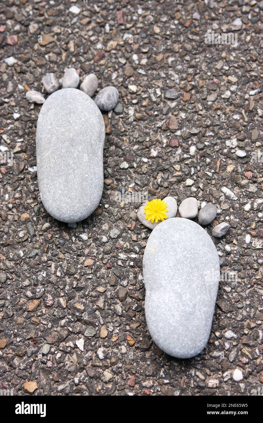 stone feet on asphalt, yellow blossom between the toes Stock Photo - Alamy