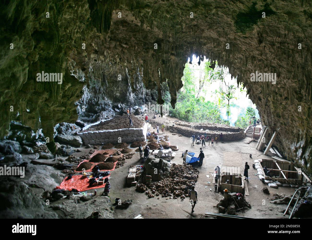 In this photo taken Monday, Sept. 12, 2009, workers labor at Liang Bua ...