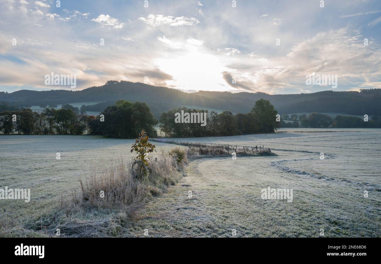 Panoramic landscape image, cold morning during autumn, Sauerland, North ...