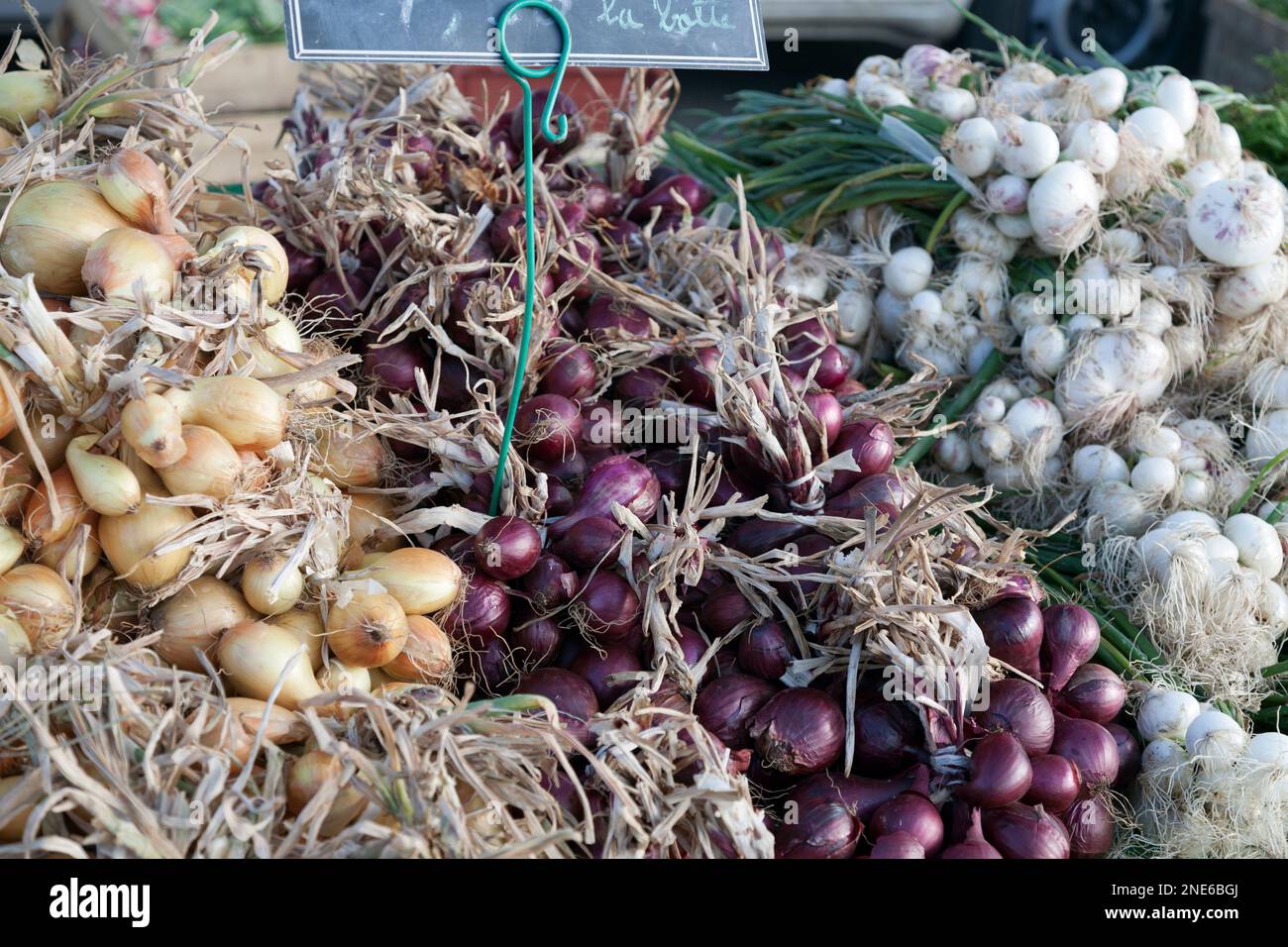 Garlic and Onion varieties for sale at market stall, Mont St Michel ...