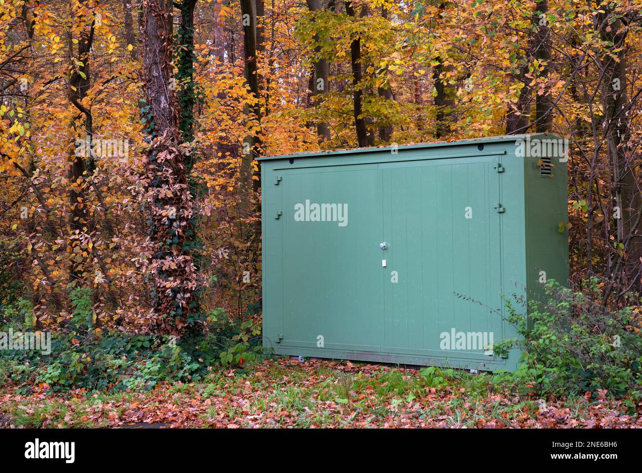 Green electrical switchboard in autumn park. Bright yellow orange ...