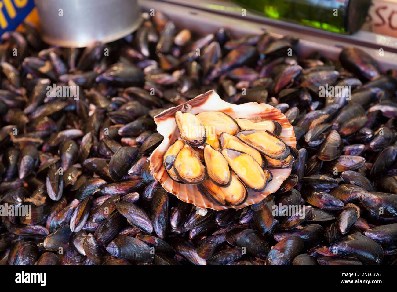 France, Normandy, Trouville-Sur-Mer, market with a variety of Seafoods ...