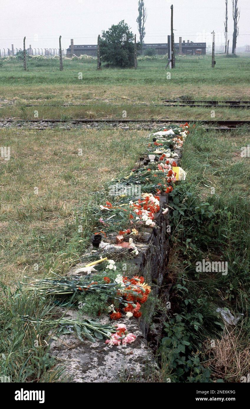 German Nazi extermination Camp in Auschwitz, Poland on June 7, 1979 ...