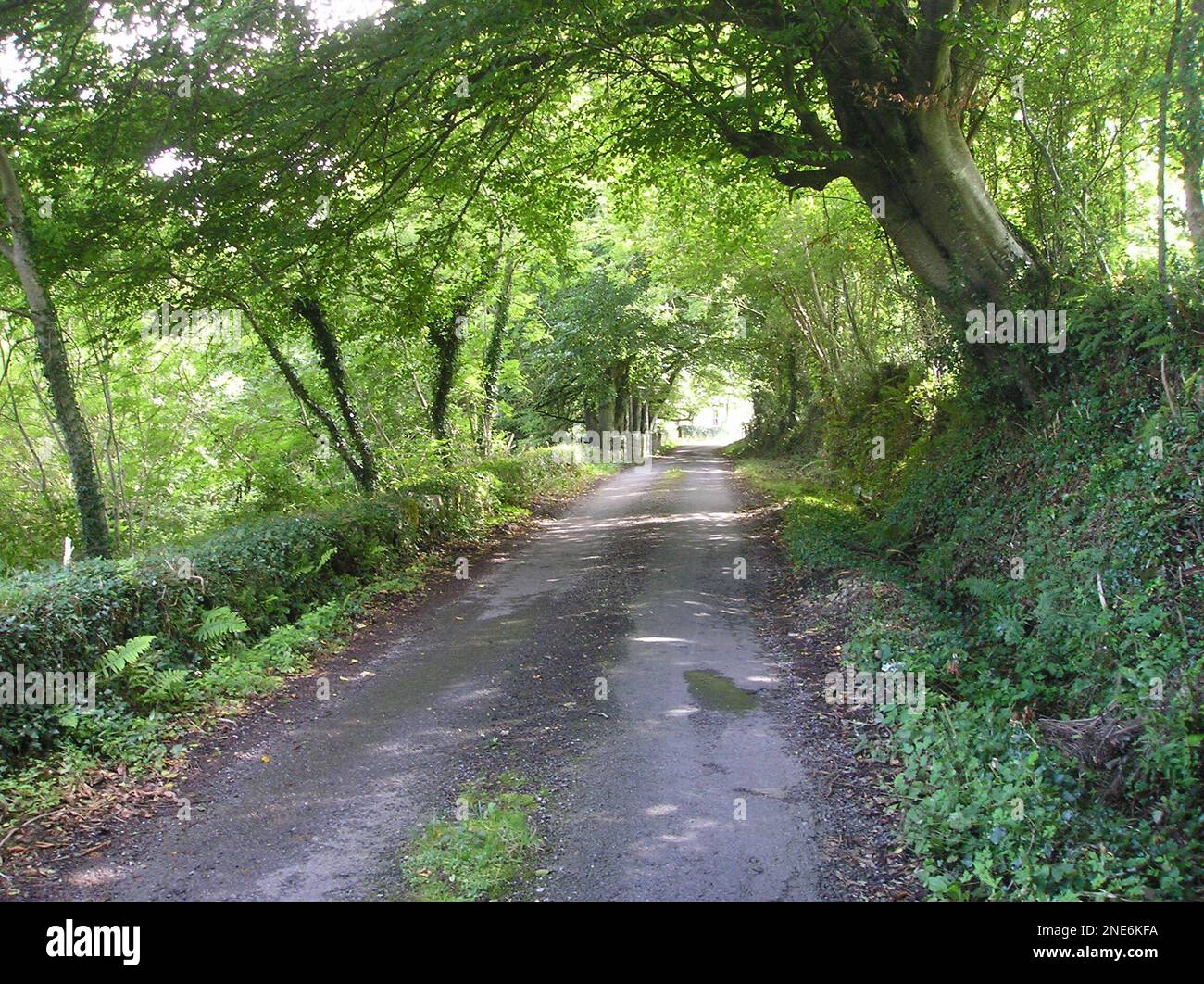 FILE-This 2005 file photo shows a country road along the Cavan Way in ...